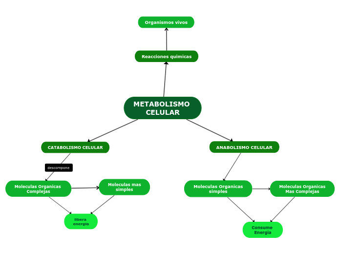 Metabolismo Celular Mind Map